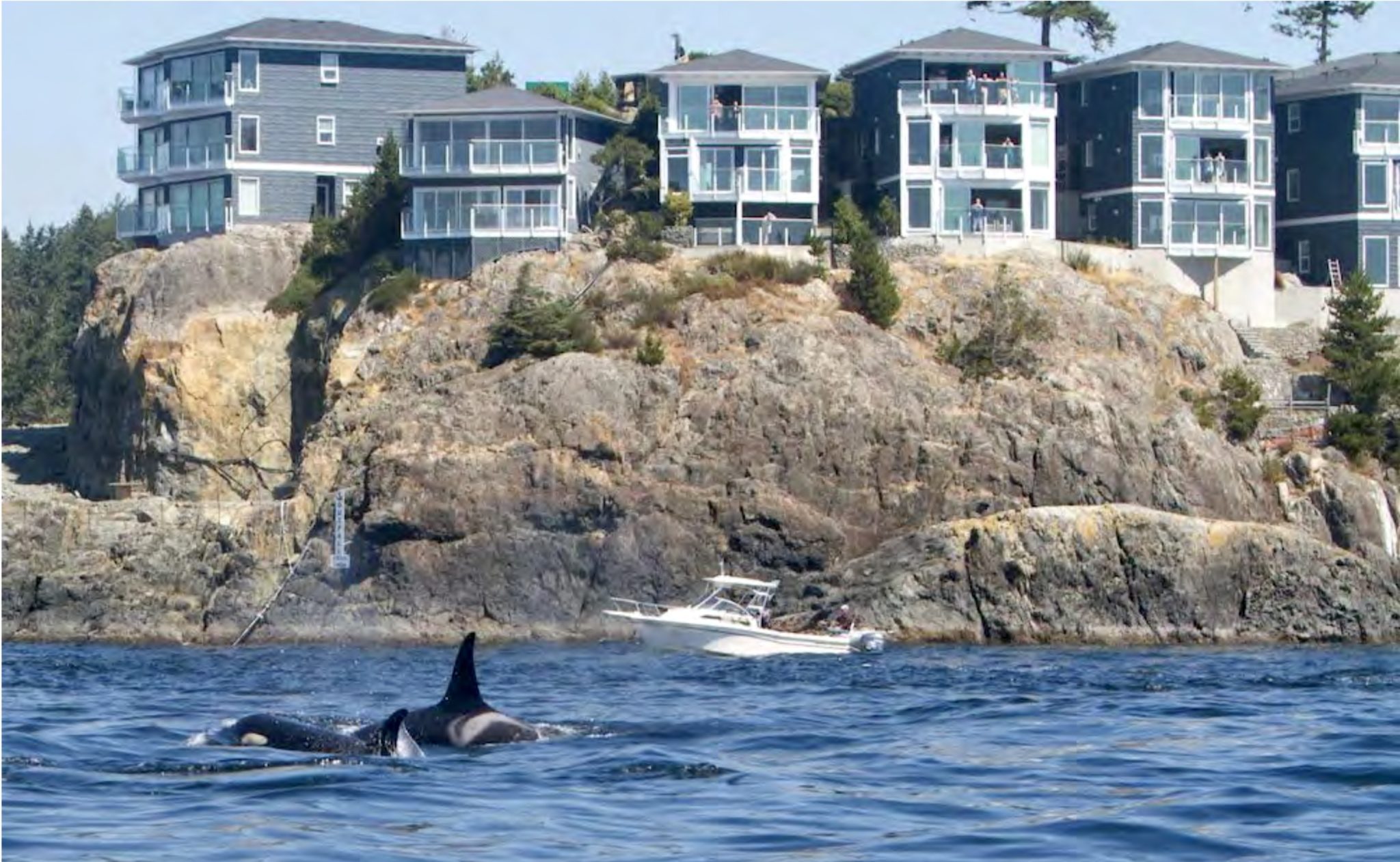 How Does The Ocean Benefit Human Health? - SookePoint